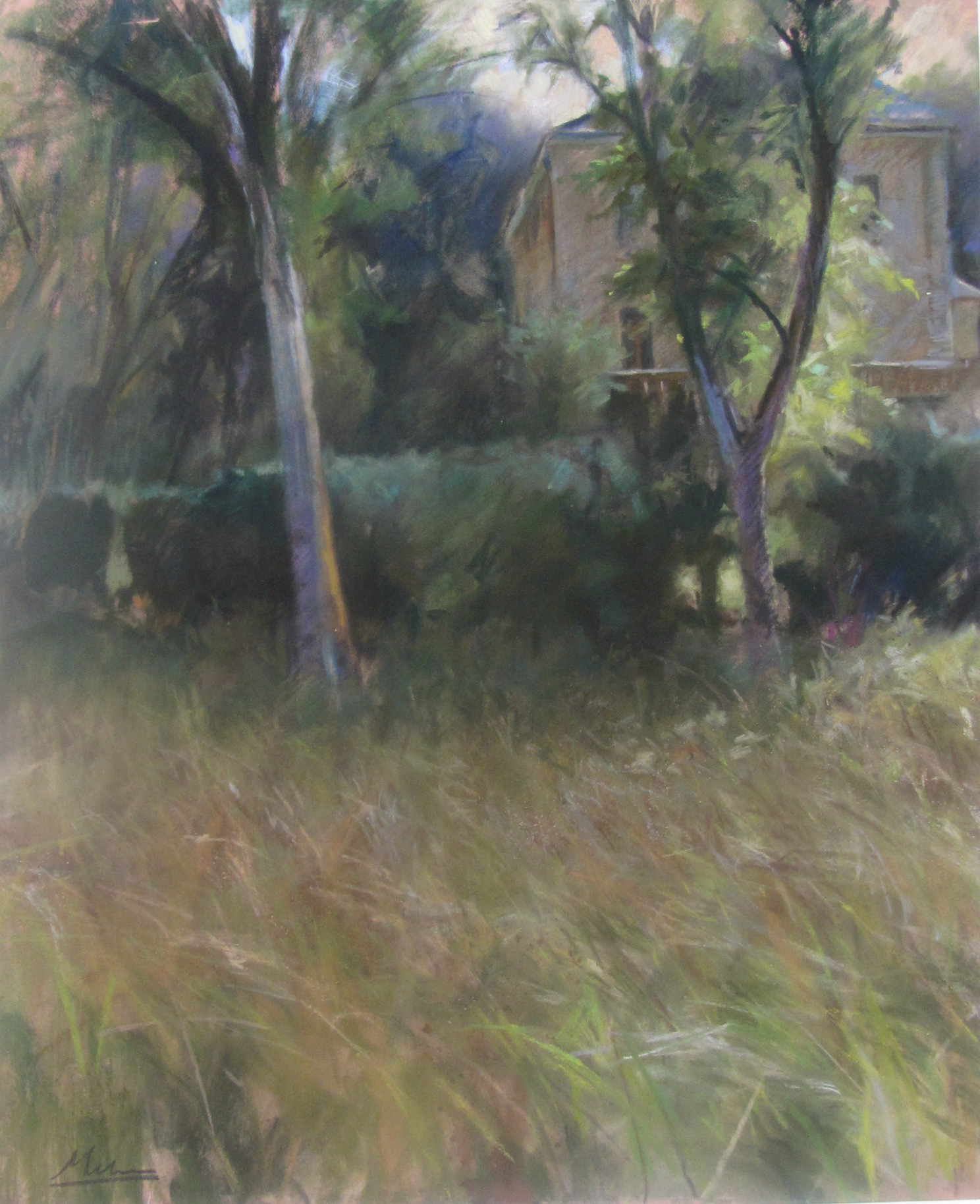 Landscapes - Penelope Milner
