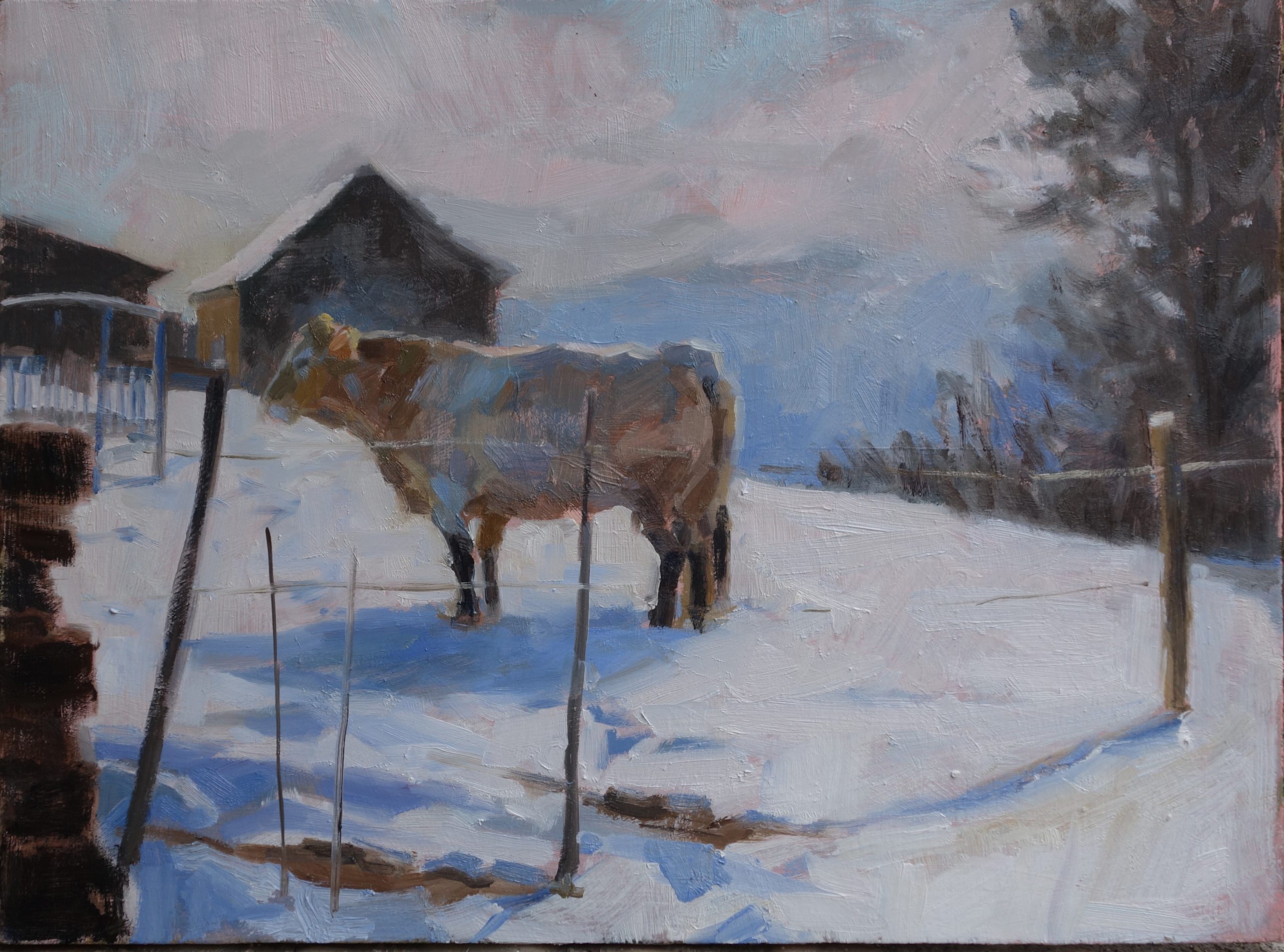 Landscapes - Penelope Milner